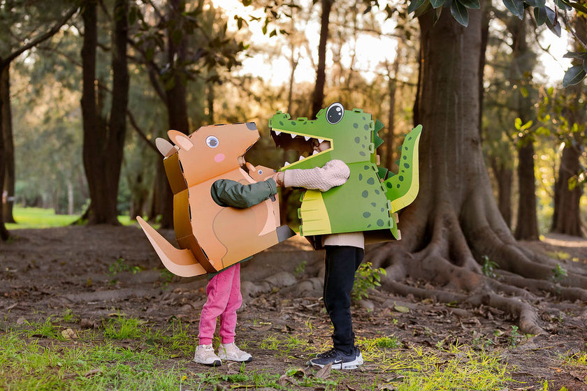 Paper Pops Cardboard Build & Play Kits